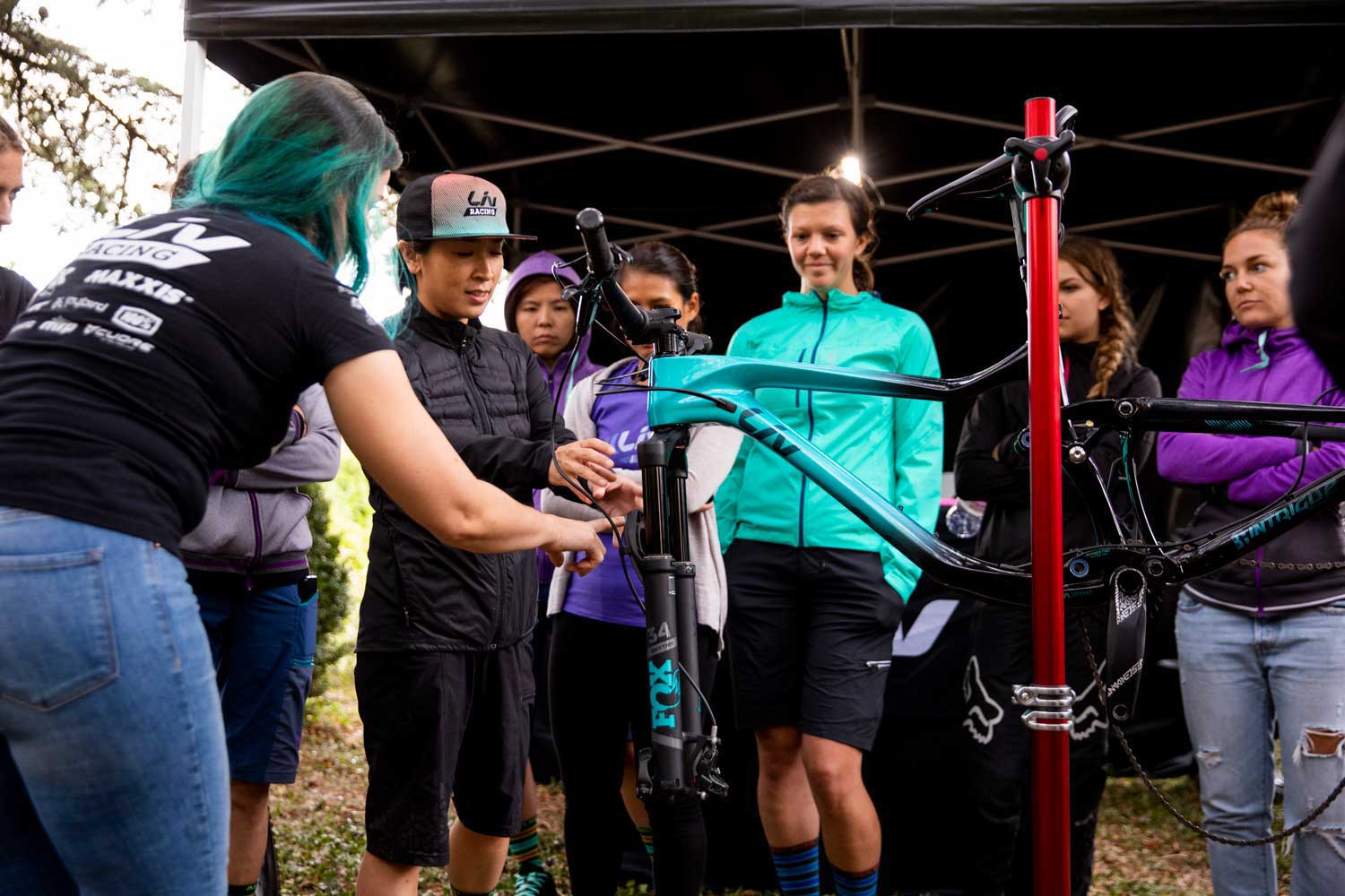 Parts of the Bike - Learn Cycling Lingo – Salter Cycles